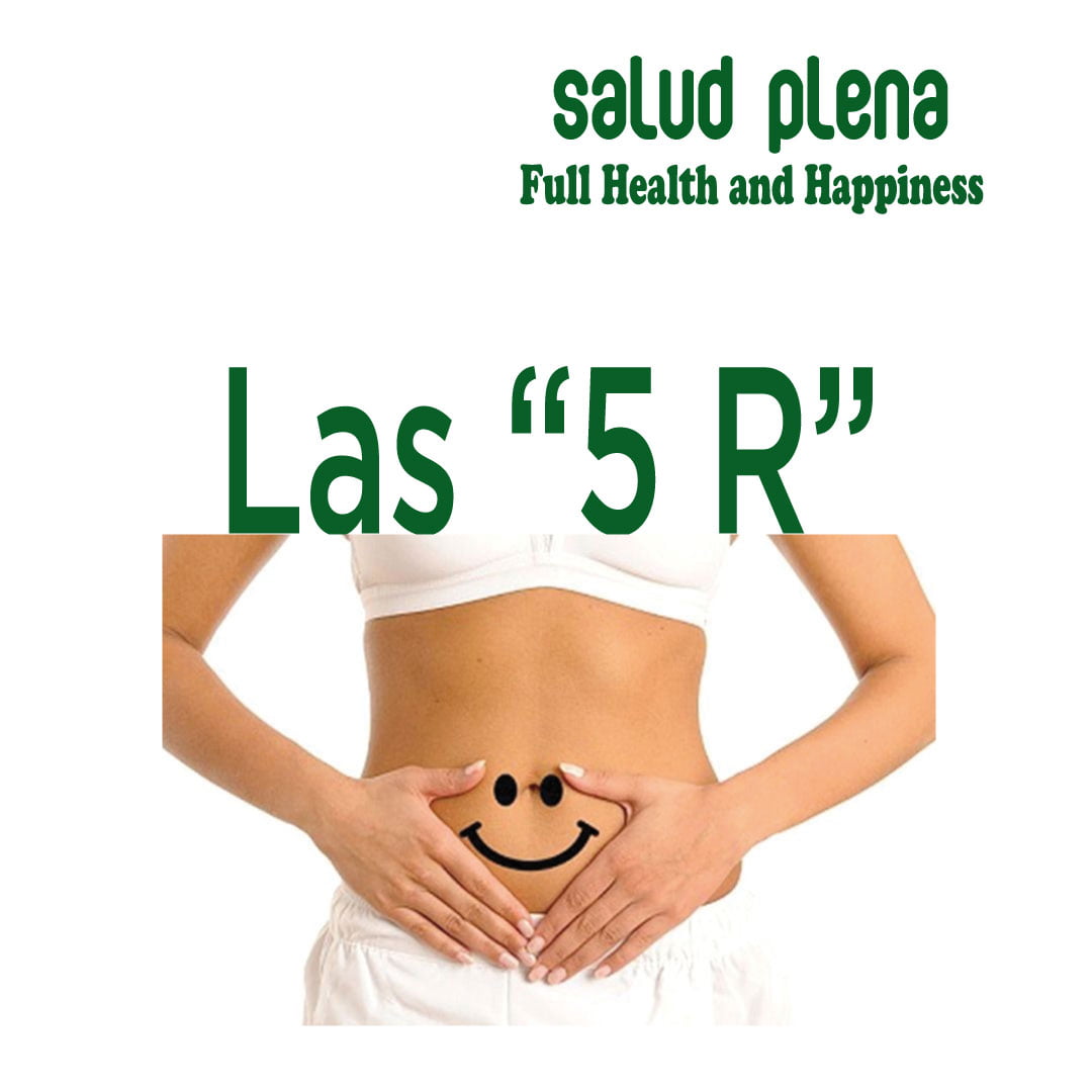 Salud Plena: 5 pasos para Regenerar el Sistema Digestivo, y permitir ...